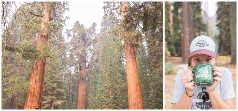California Girl's Trip | Yosemite & Sequoia National Park » Monica ...